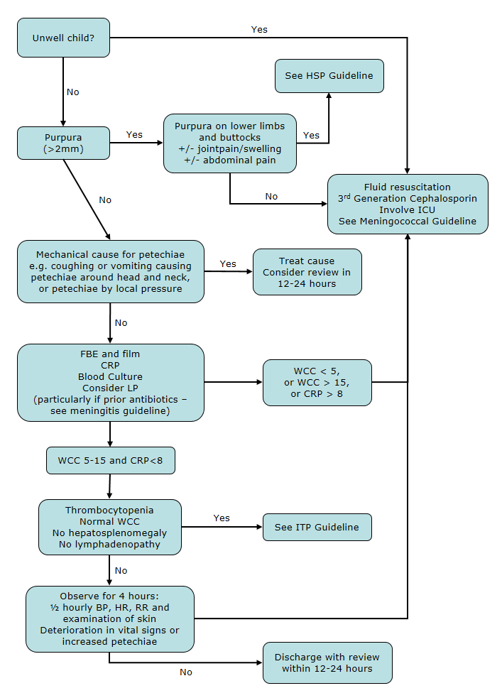 Clinical Practice Guidelines : Fever and Petechiae Flowchart
